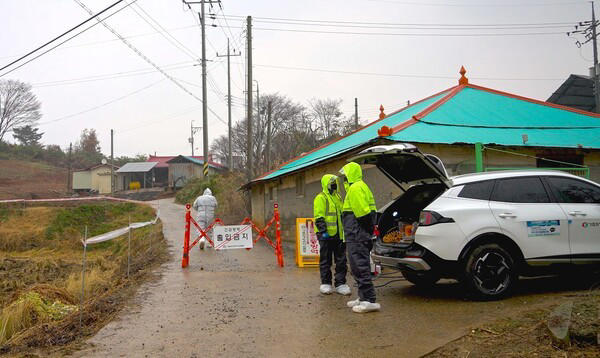 당진시, ASF 확산 차단 총력 … “3개 농장 1810두 살처분”