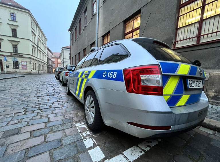 Pracovnice přepravní společnosti na Náchodsku si nechávala balíky pro sebe