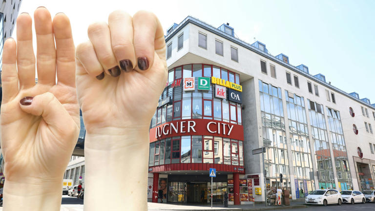 6-Jährige rettet Familie mit Handsignal vor Prügelvater