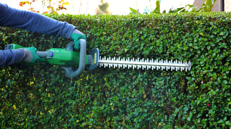 Single Or Double-Sided Hedge Trimmer: How To Choose The Best Tool For ...