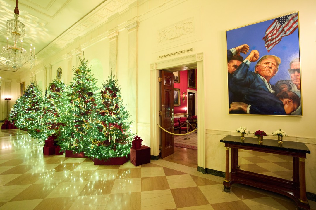White House unveils holiday decorations, first lady’s new theme