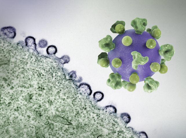 7th HIV Remission Raises Hope of Long-Lasting Treatment For More People