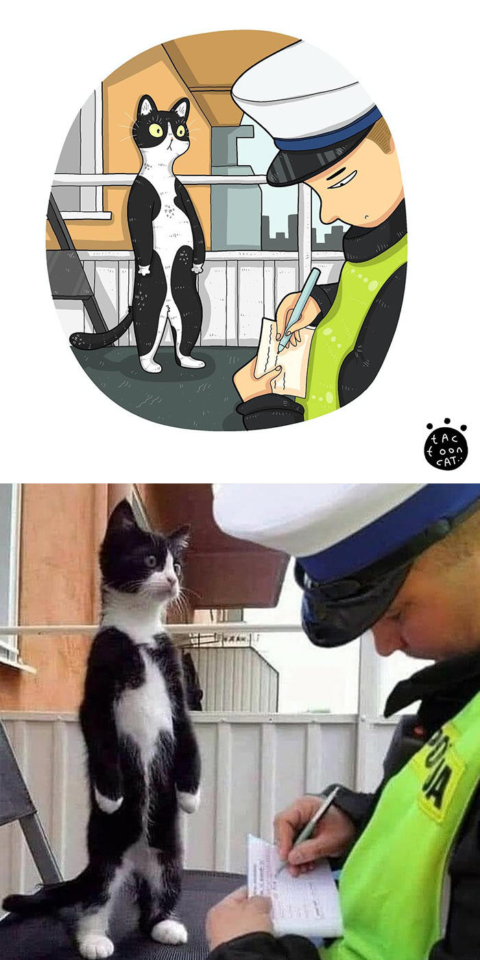 29 Of The Funniest Internet-Famous Cat Pics Get Illustrated By Tactooncat