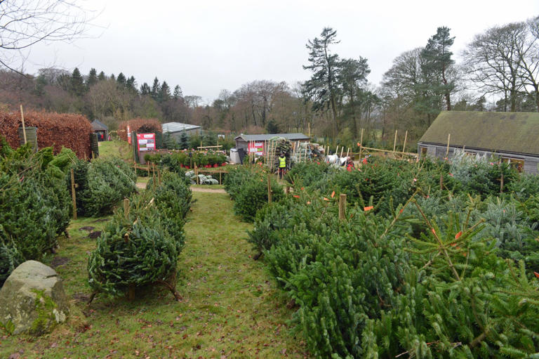 We visited National Trust's Peak District estate which has been selling ...