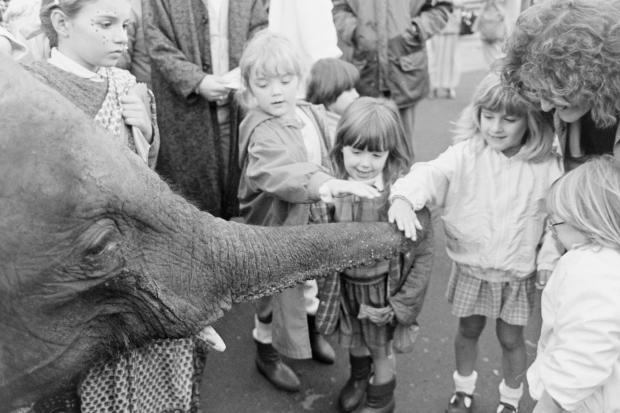 Adorable snaps of baby elephant meeting young high street shoppers
