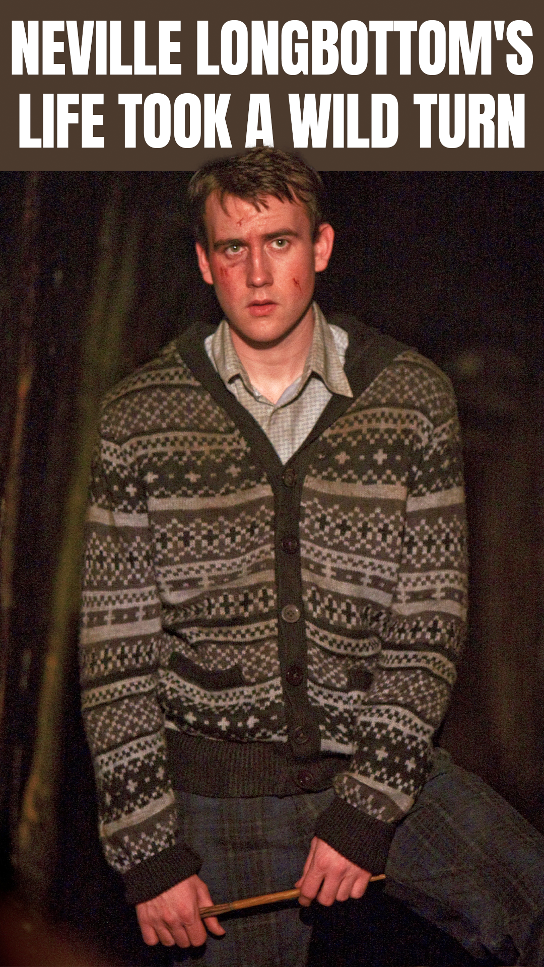 What Happened To Neville Longbottom After Winning The War Against Voldemort
