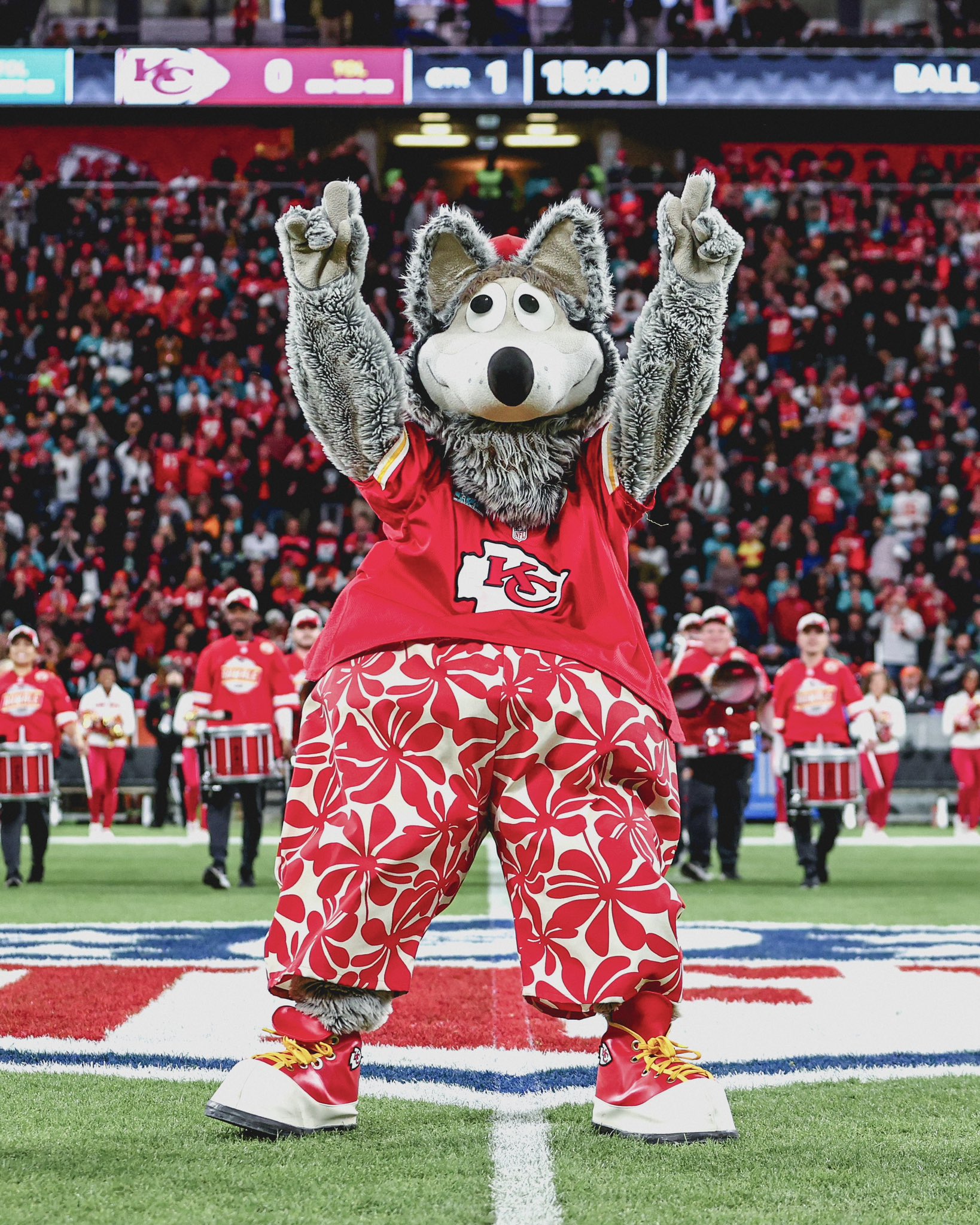 Ranking Top 20 NFL Mascots of All Time