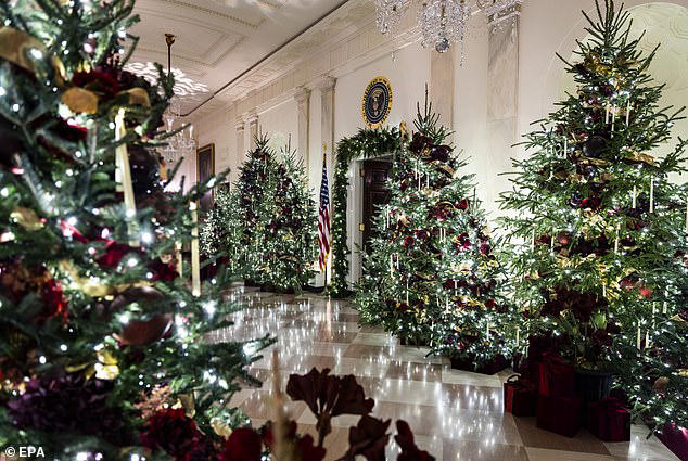 Melania Trump's lavish White House Christmas: First Lady unveils unique ...
