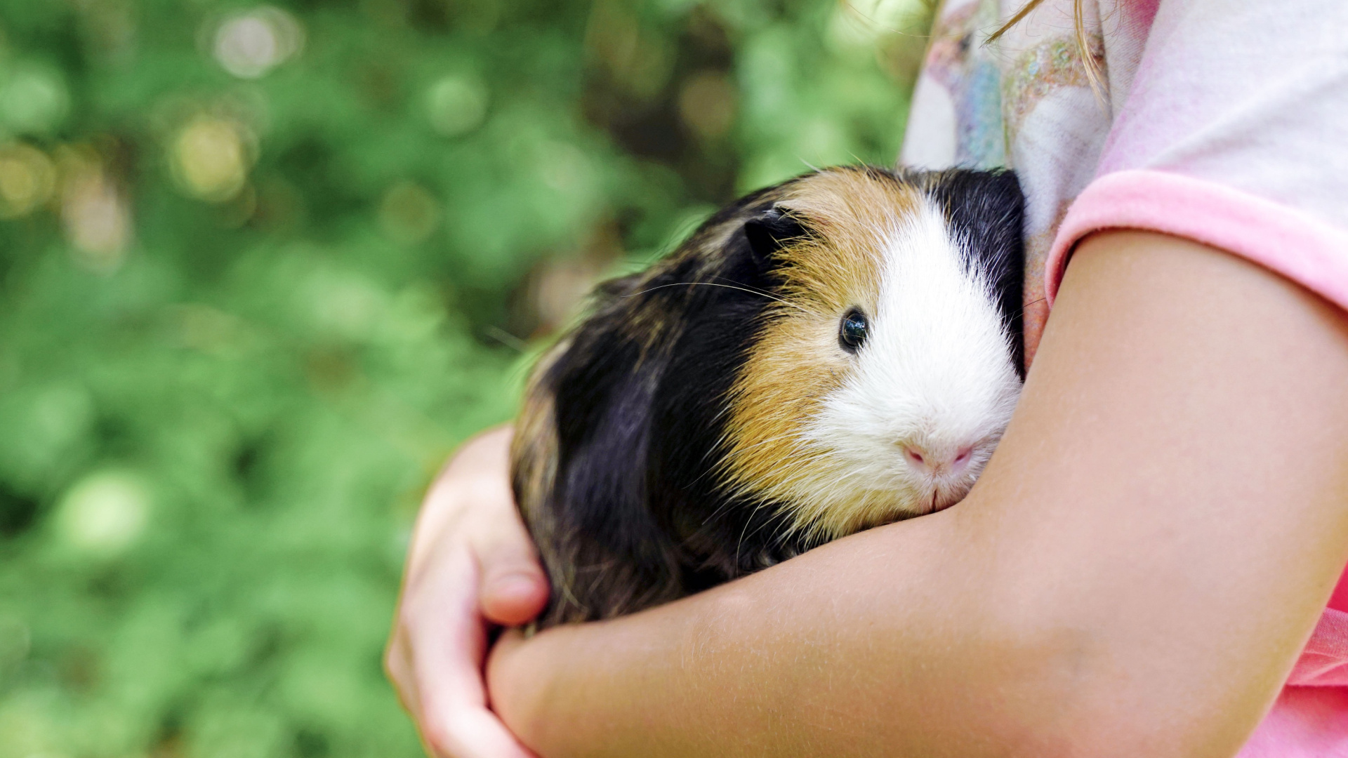 The Best First Pets For Children