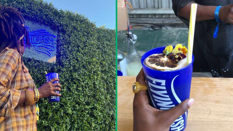 Photo: Flying Fish concert-goers never expected mobile toilet to look ...