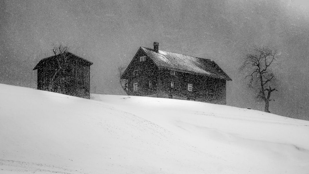 Major Winter Storm To Start December With Heavy, Travel-Snarling Snow ...