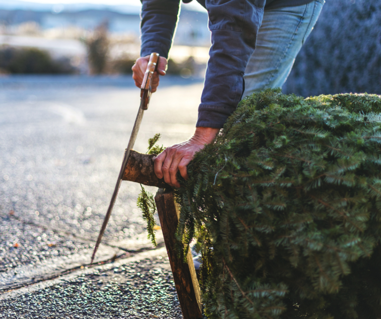 These 6 easy tricks will keep your Christmas tree fresh, full and ...