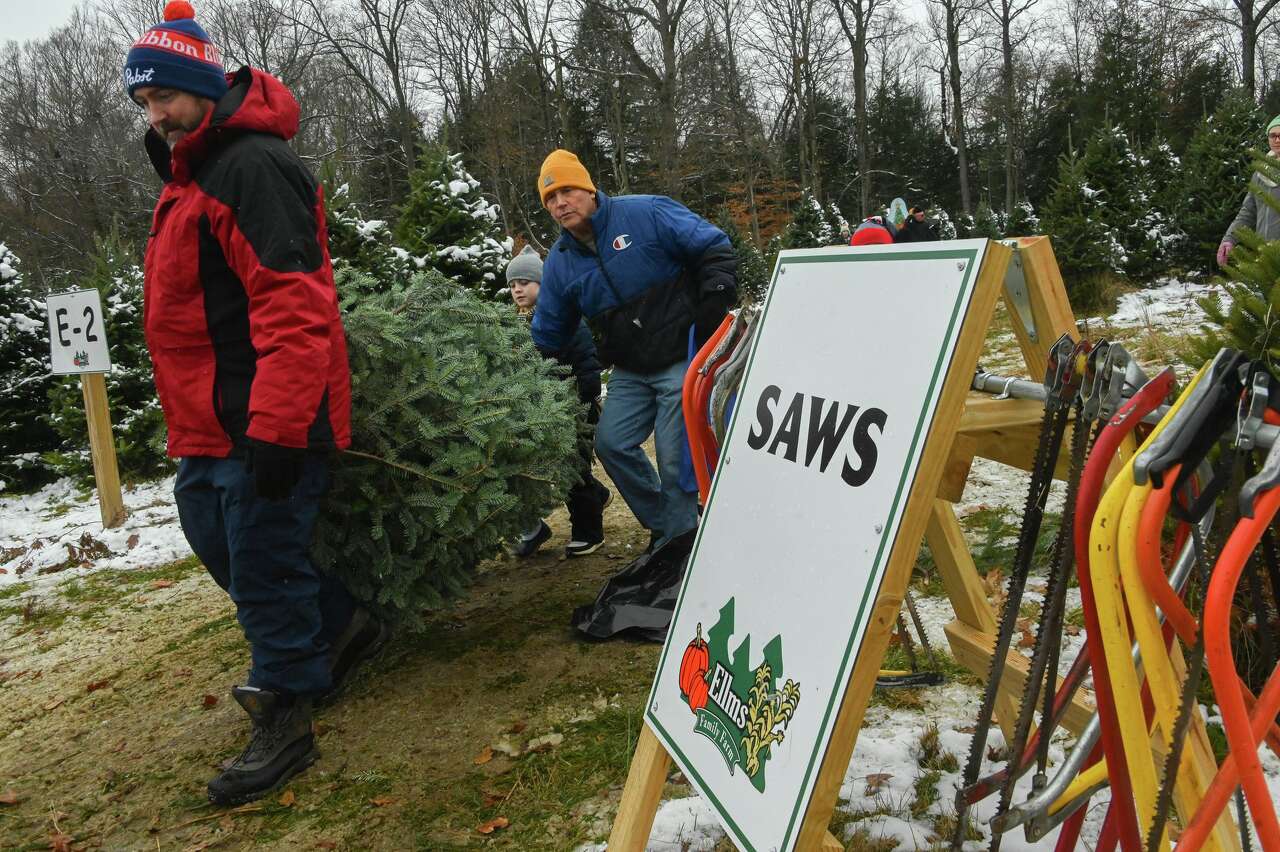 Photos: Pick-your-own tree season begins