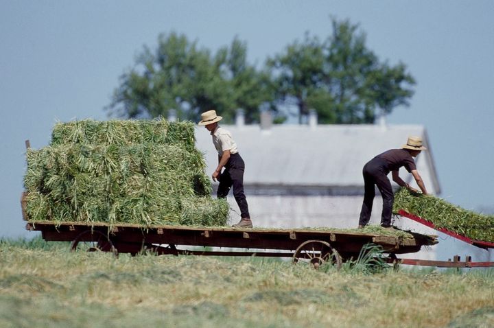 Facts about the Amish that might change how you see them