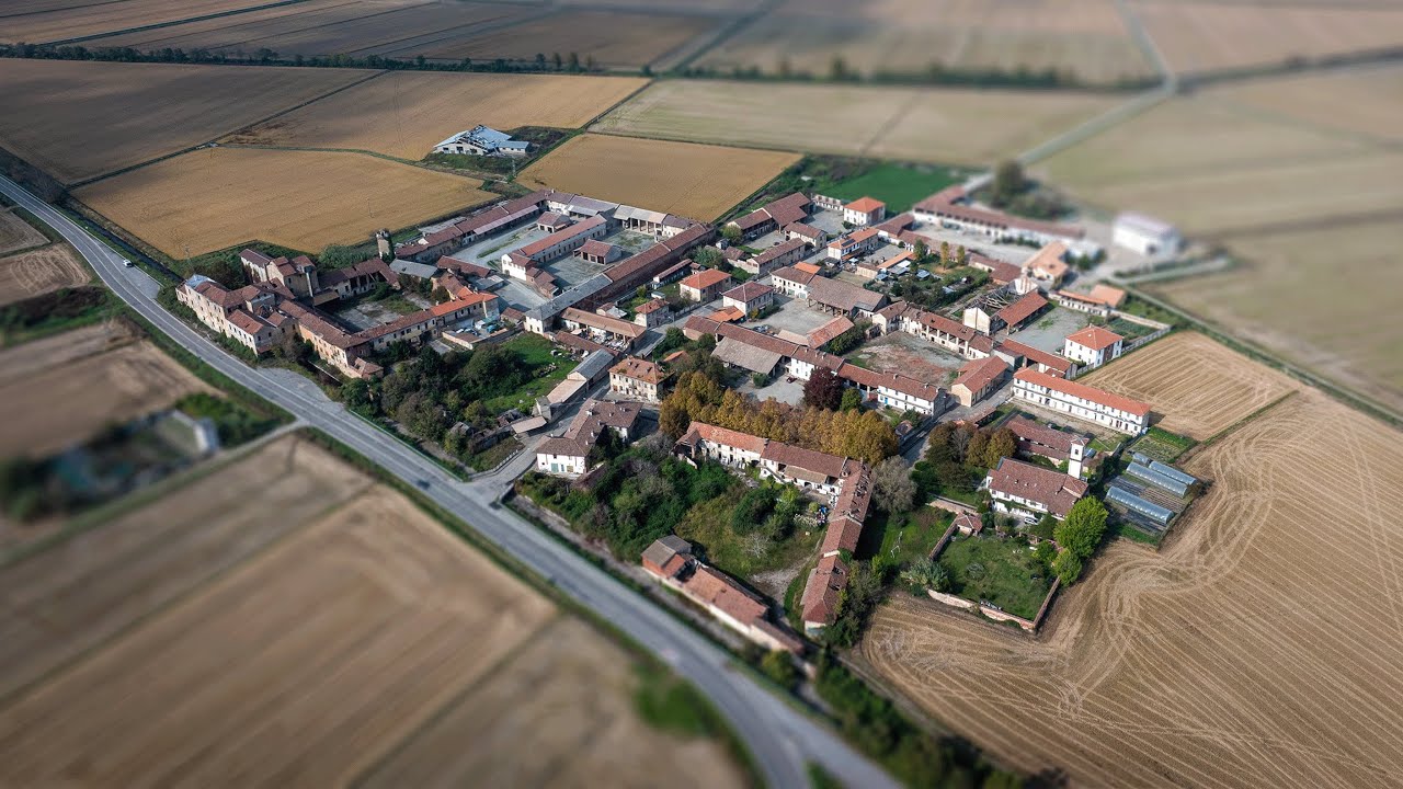 How a Century-Old Risotto Industry Imploded and Took a Village With It