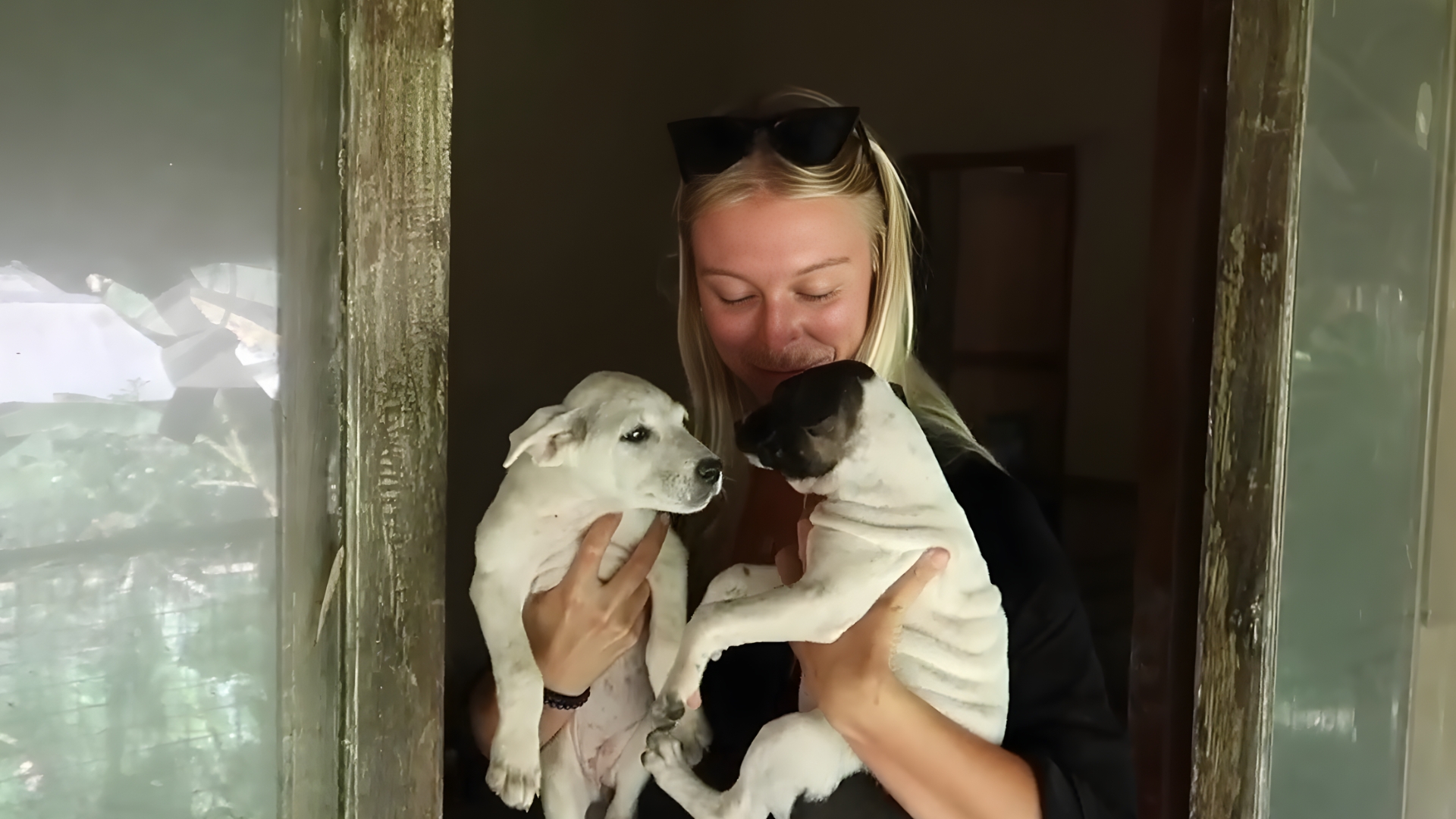 Spending a Day at a Bali Dog Rescue