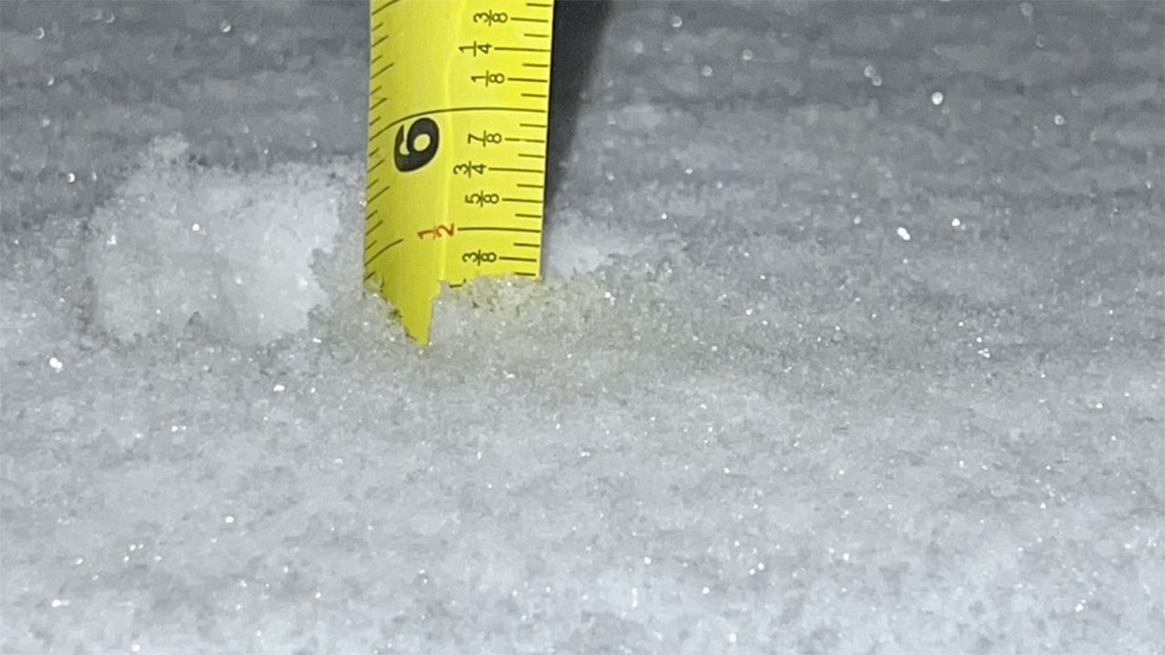 How much snow fell on Saturday? Totals for NYC area