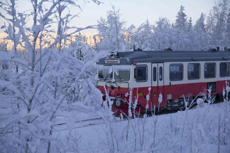 The 30mph train into the Arctic Circle with the chance to spot elk and ...