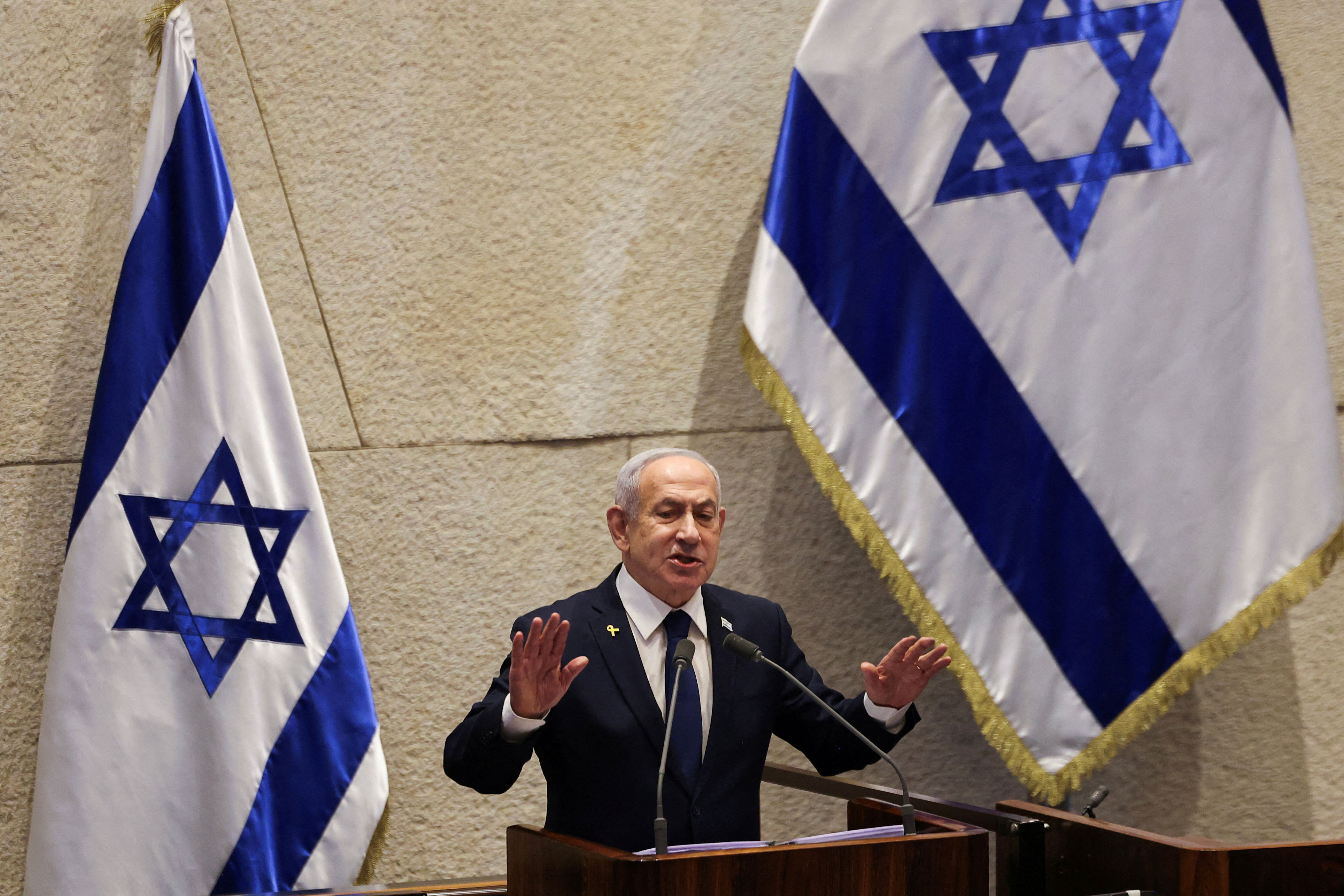 What does Netanyahu want to be pardoned for and is it possible?