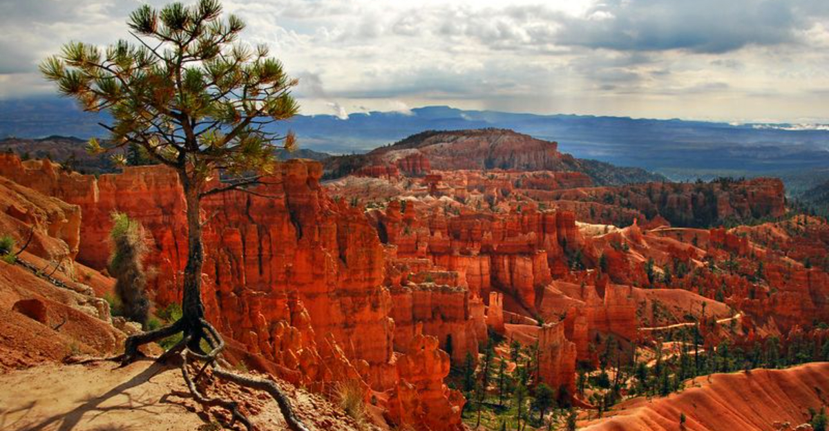 Utah’s canyon edge reveals 8 easy scenic escapes perfect for adults ...