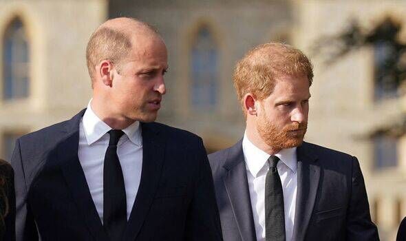William and Harry reunion rumours swirl as brothers both expected at ...