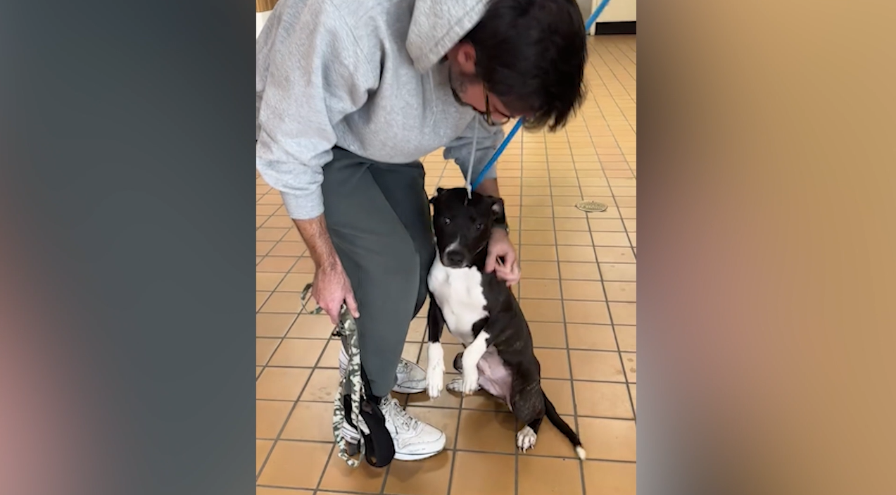 Man Rescues Shelter Dog As A Companion For Dad With Alzheimer’s