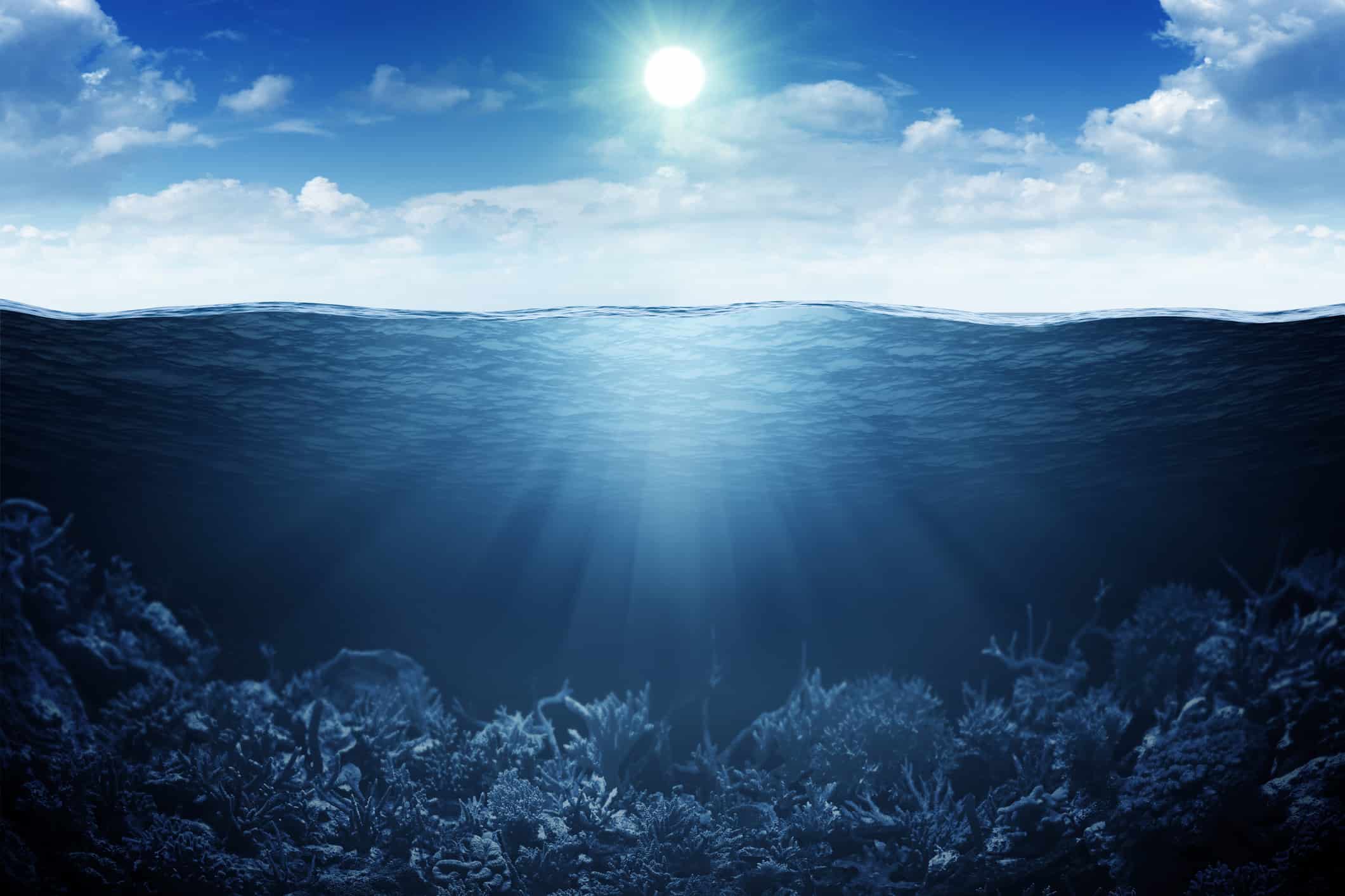 15 Fascinating Facts About the Ocean
