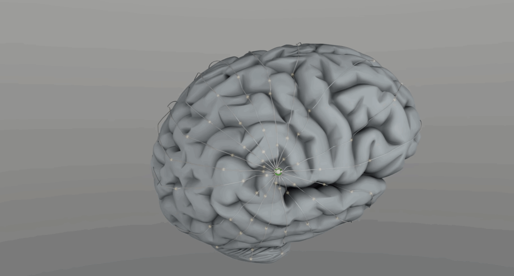 What would happen if human brains were connected to the internet?