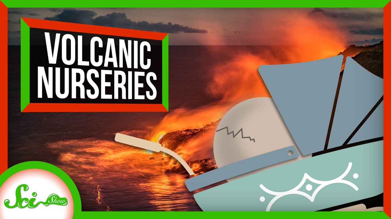 Active volcanoes: The perfect egg incubators