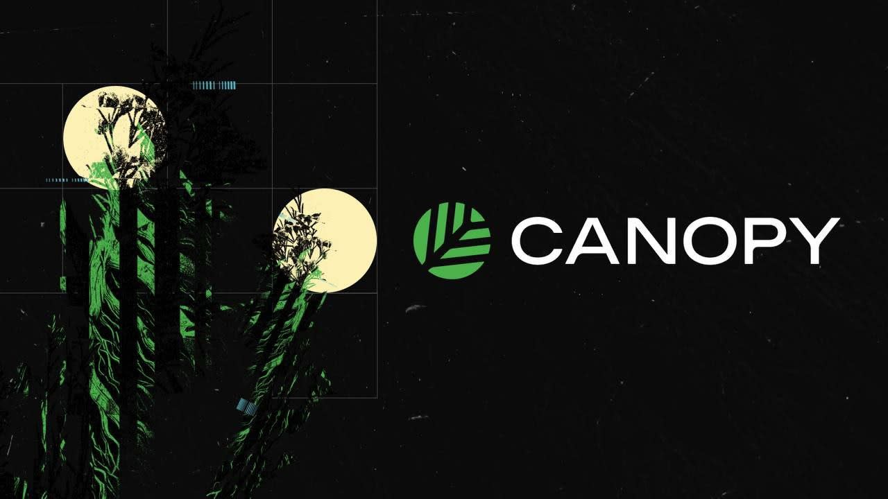 Canopy introduces a ‘layerless’ approach to building sovereign blockchains