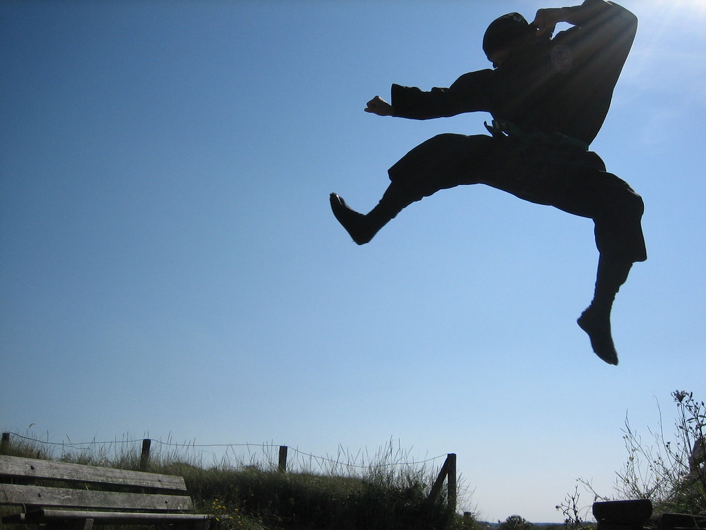 The Real History Of Ninjas