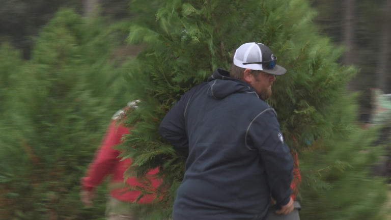 Christmas tree farm sees busy season as families continue traditions