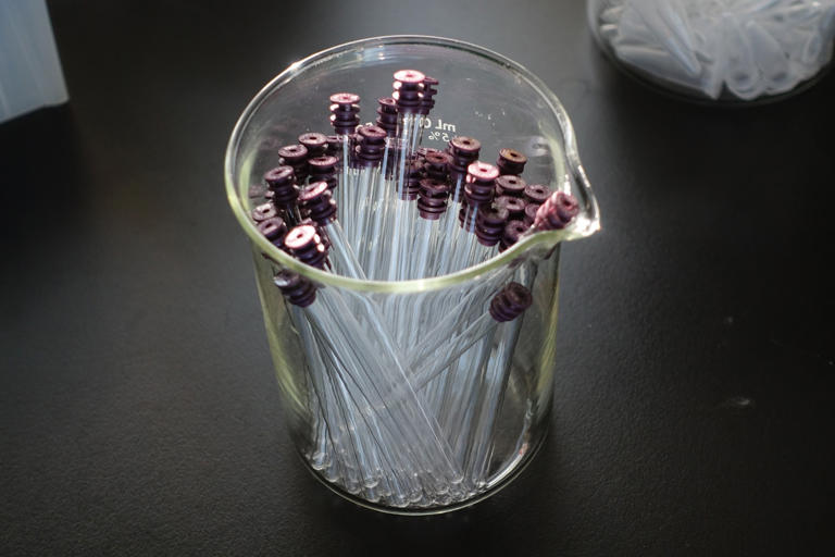 Exploring Everyday Polymers Through NMR Technology