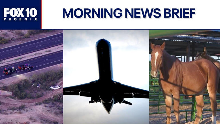 Shooting investigation in Tempe; Arizona Equine Herpesvirus outbreak ...