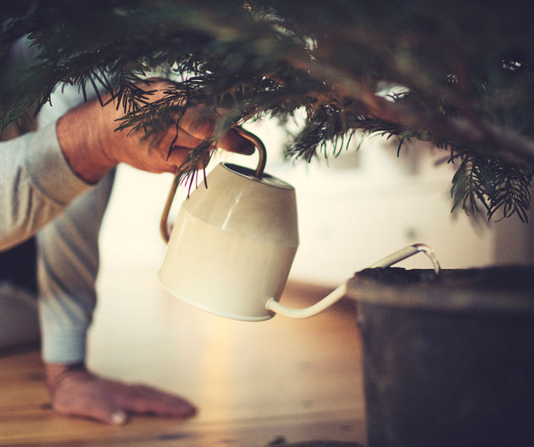 These 6 easy tricks will keep your Christmas tree fresh, full and ...