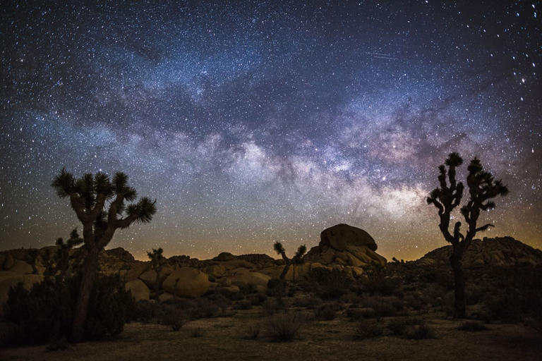 This national park is a stargazer’s haven—with iconic trees and ...