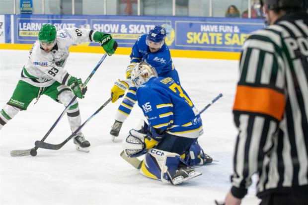 Basingstoke Bison secure unlikely win and knock league leaders to the ropes