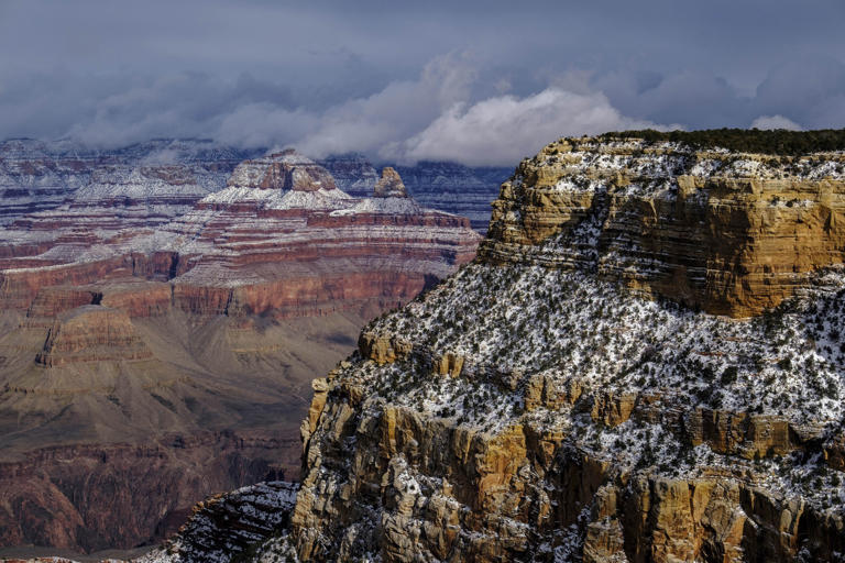 Arizona Diamondbacks: December confidence poll