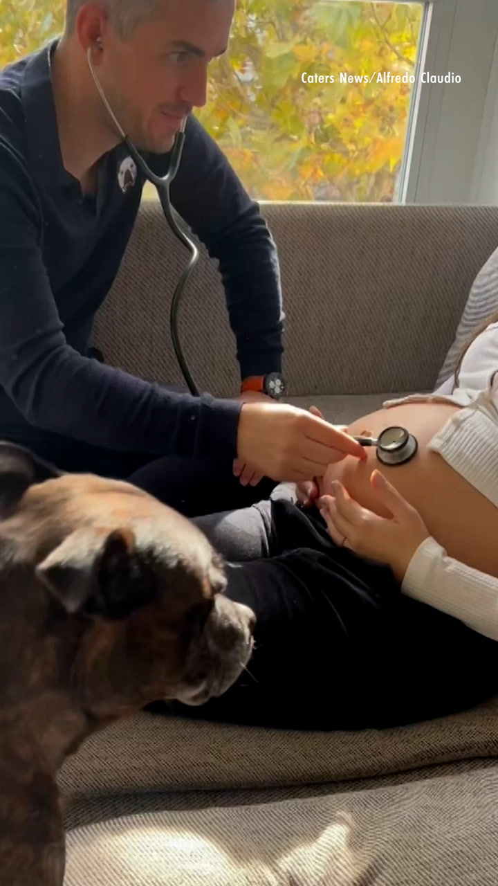 Dog Hears Baby's Heartbeat in Touching Family Moment