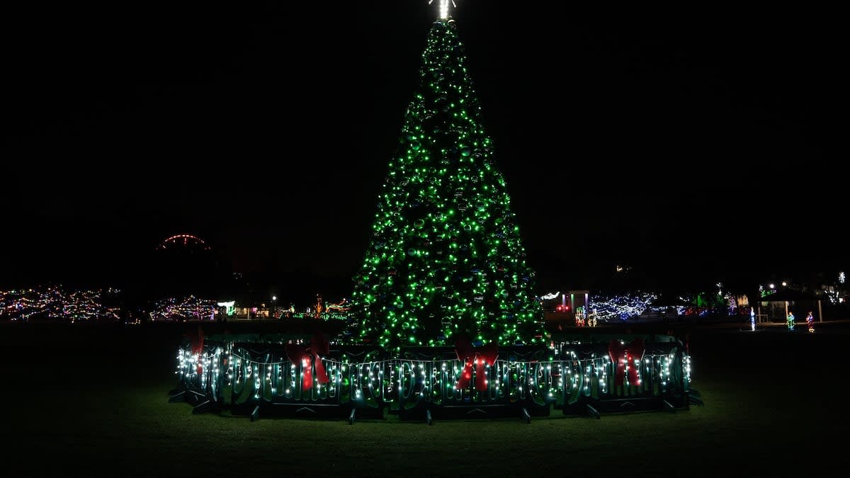 Top events in Tampa Bay for the week of Dec. 1