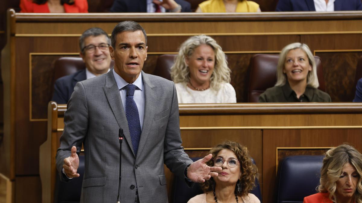 Los dueños de animales deben cumplir con estas normas si no quieren que ...