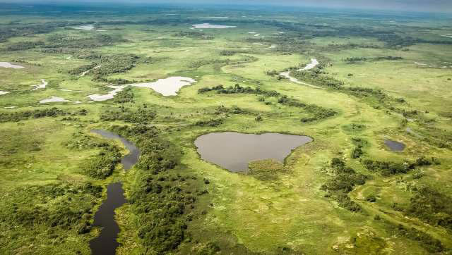 Video of giant snake in unexpected location sparks outrage: 'A pretty ...