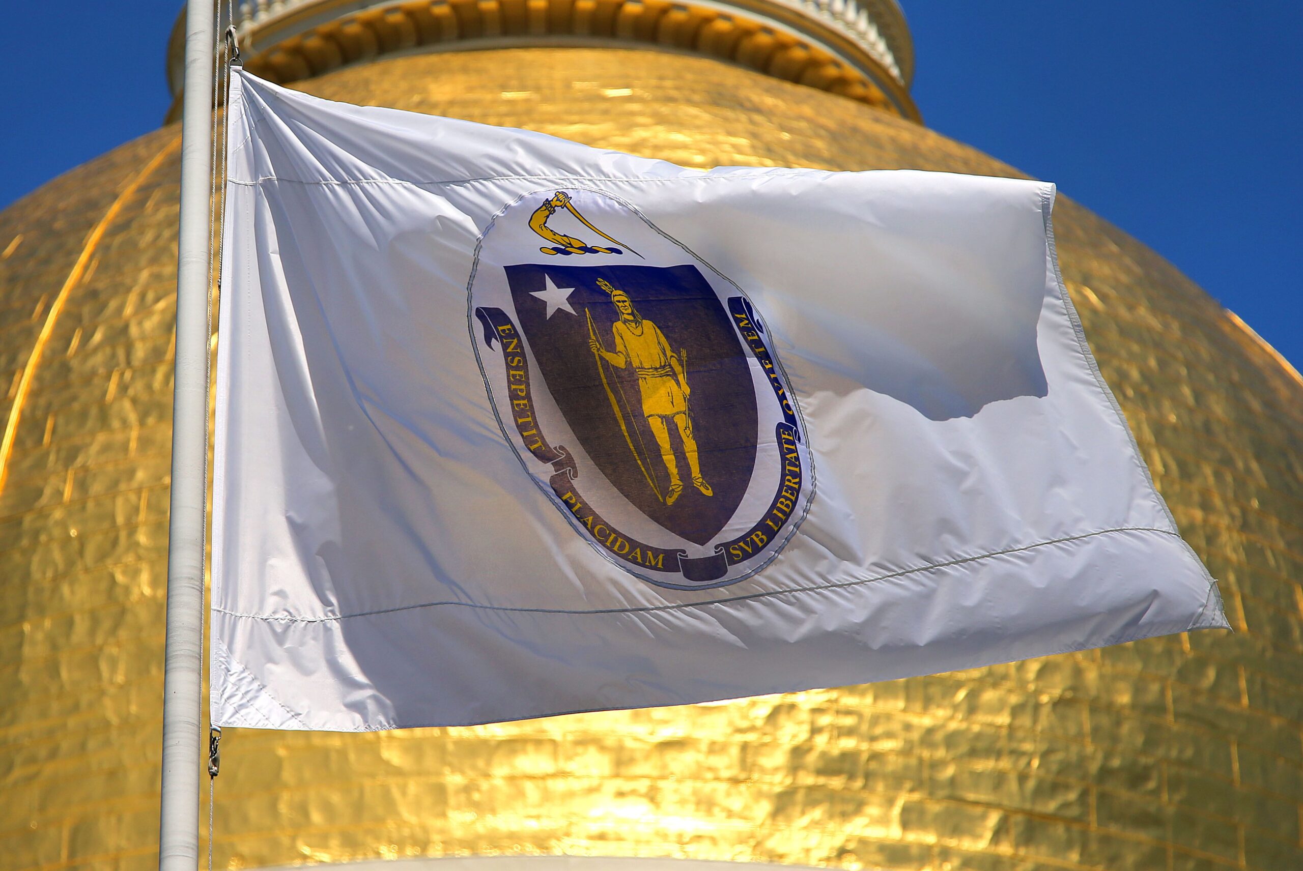 Group working on new state flag design asks for another extension