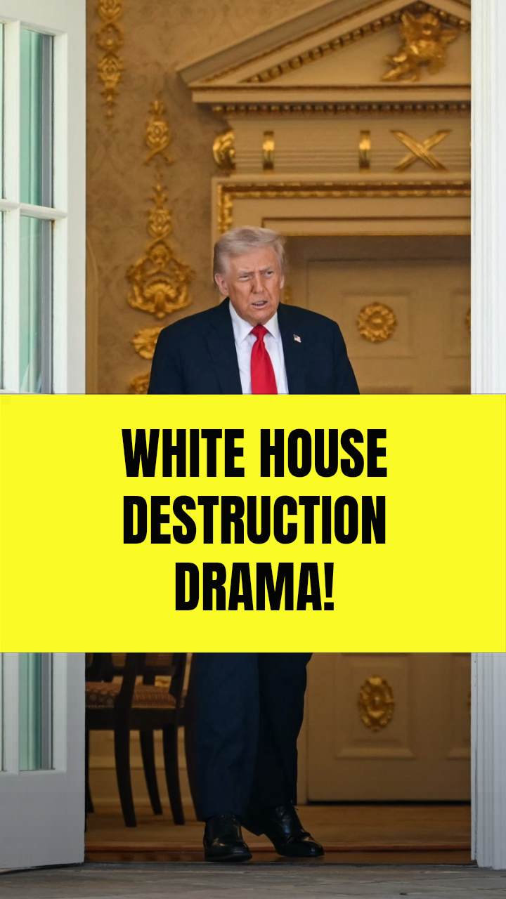 Twitter Is Dragging Hillary Clinton For 'Hypocritical' Tweet About ...