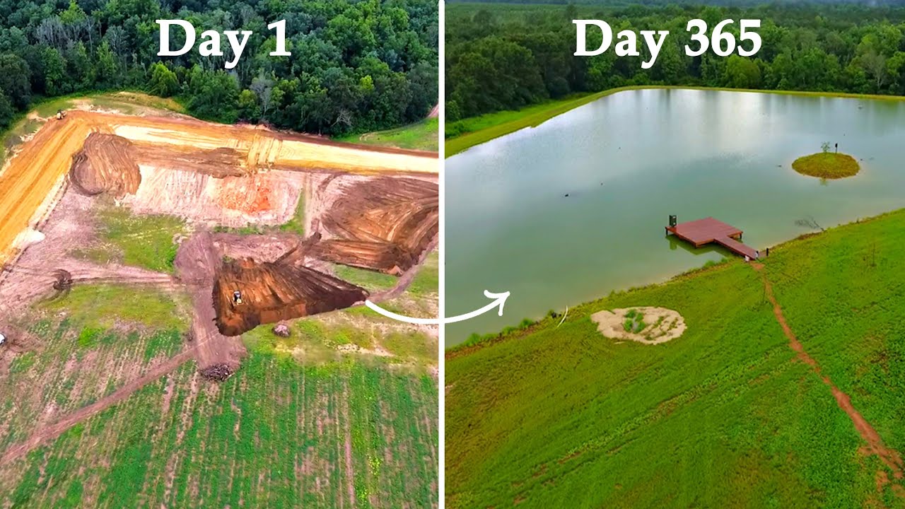 One year ago I built a 5 acre pond - here's what happened
