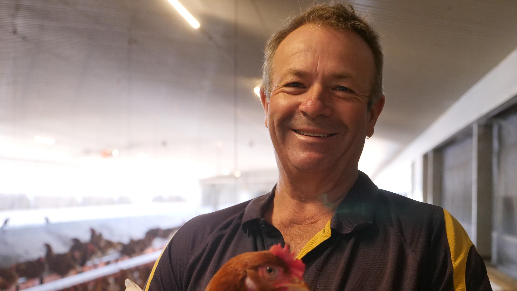 South Australian farmers fear future as bird flu recovery causes egg ...