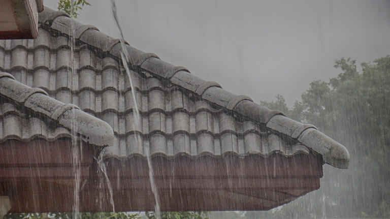 Are There Flood Warnings In Your Area? Be Sure To Check These Spots On ...