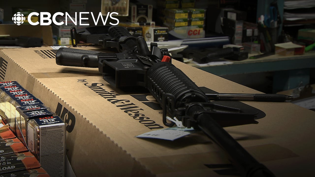 Province takes aim at federal firearms buyback program