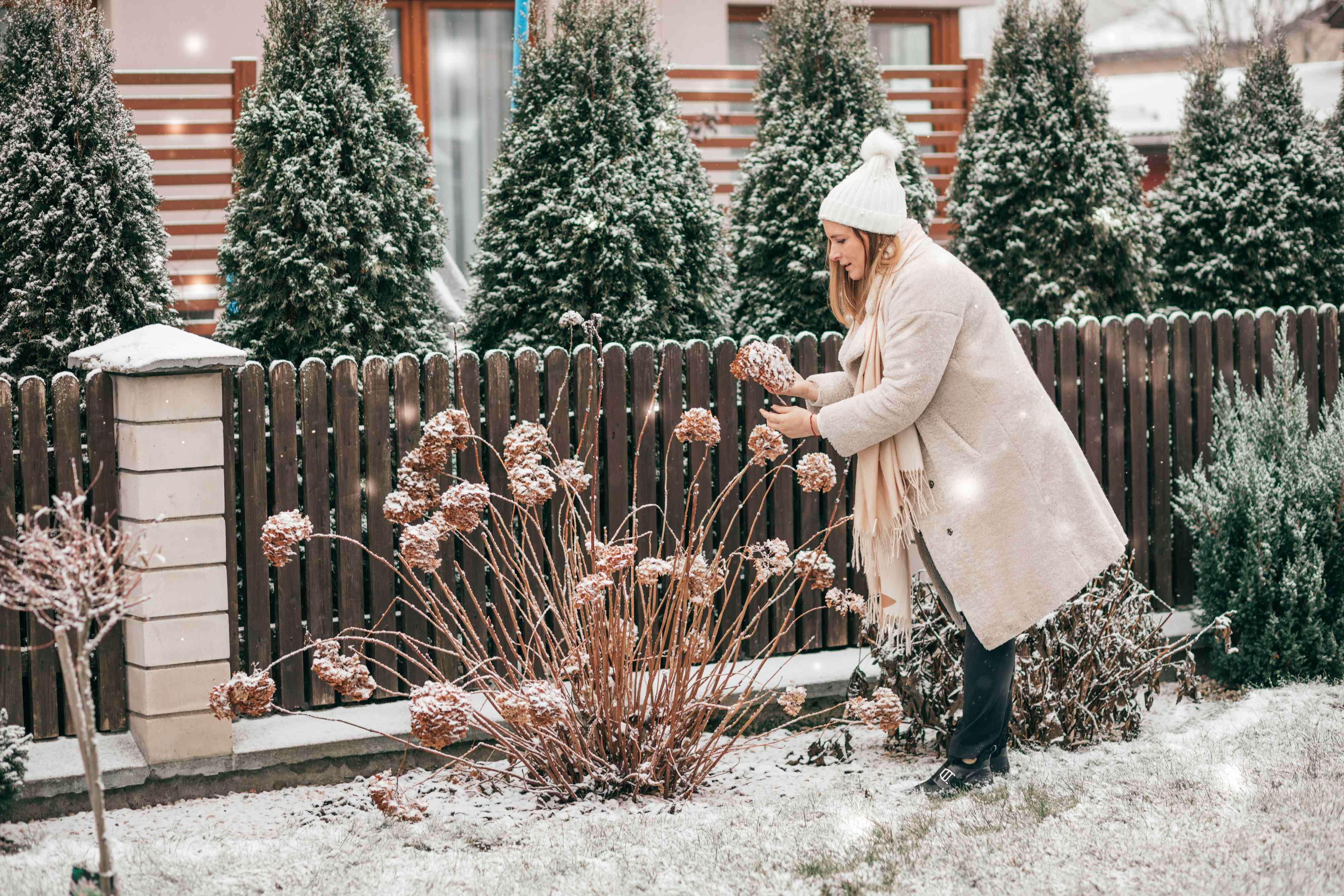 Your December Garden Checklist: What to Do Now in Your Region