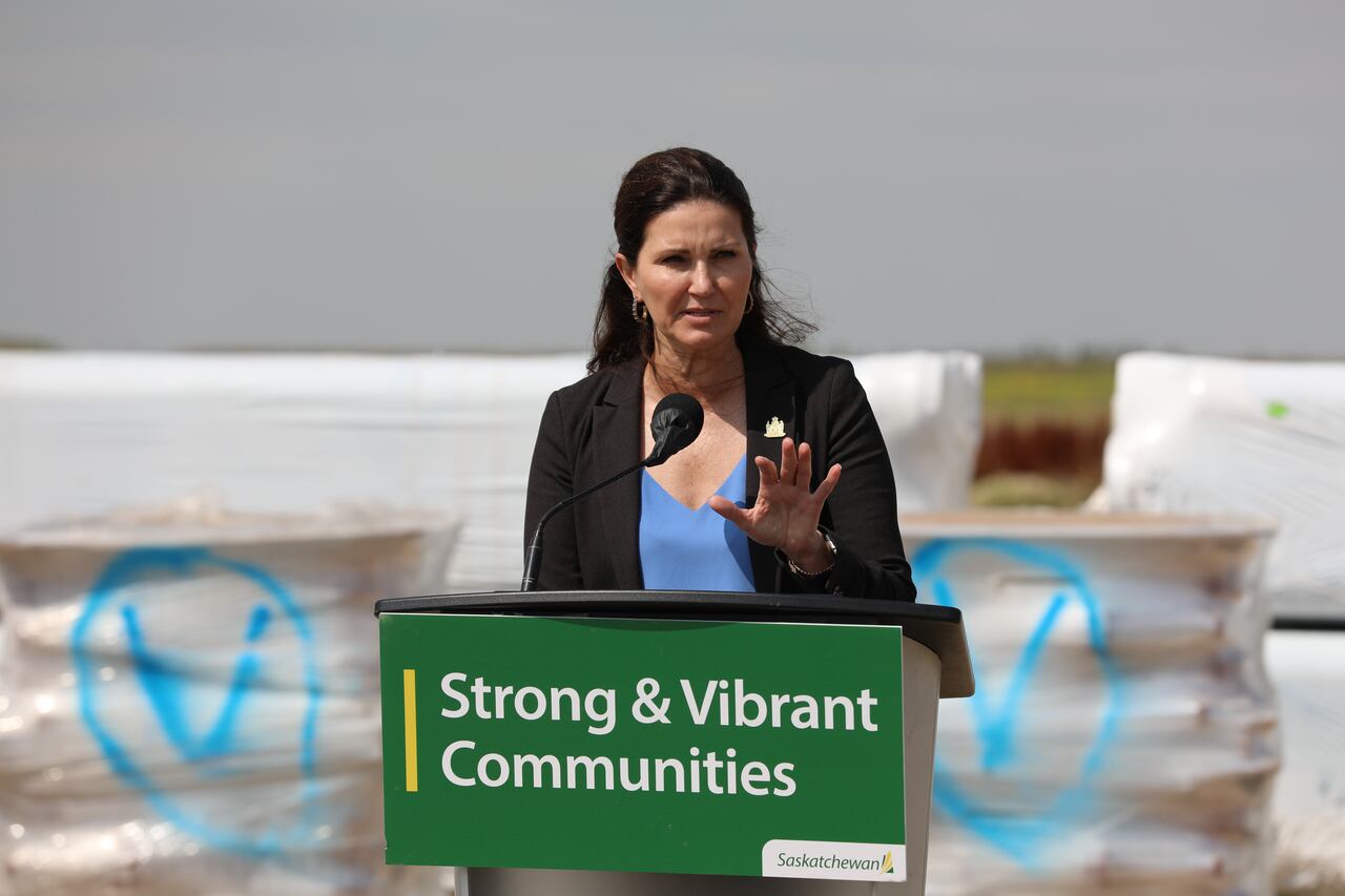 Former Regina mayor Sandra Masters hired by Saskatchewan premier's office